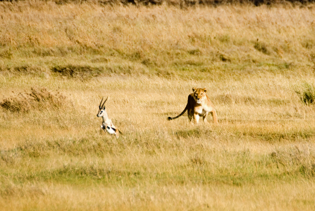 Q281 | Savoir voir venir - Atelier des Futurs